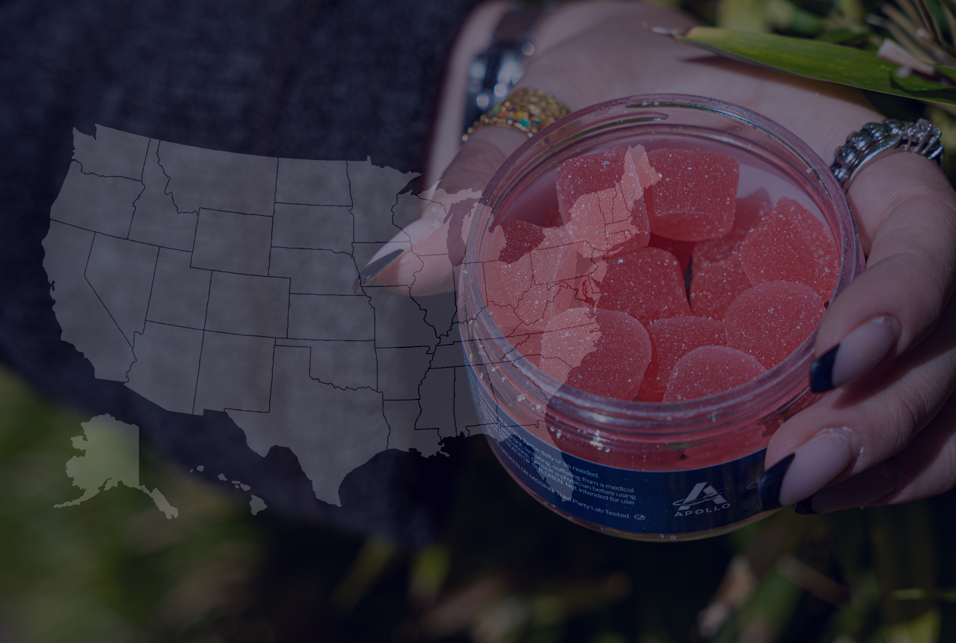 Understanding the Legality of Delta 8, Delta 9, and HHC Gummies by ...